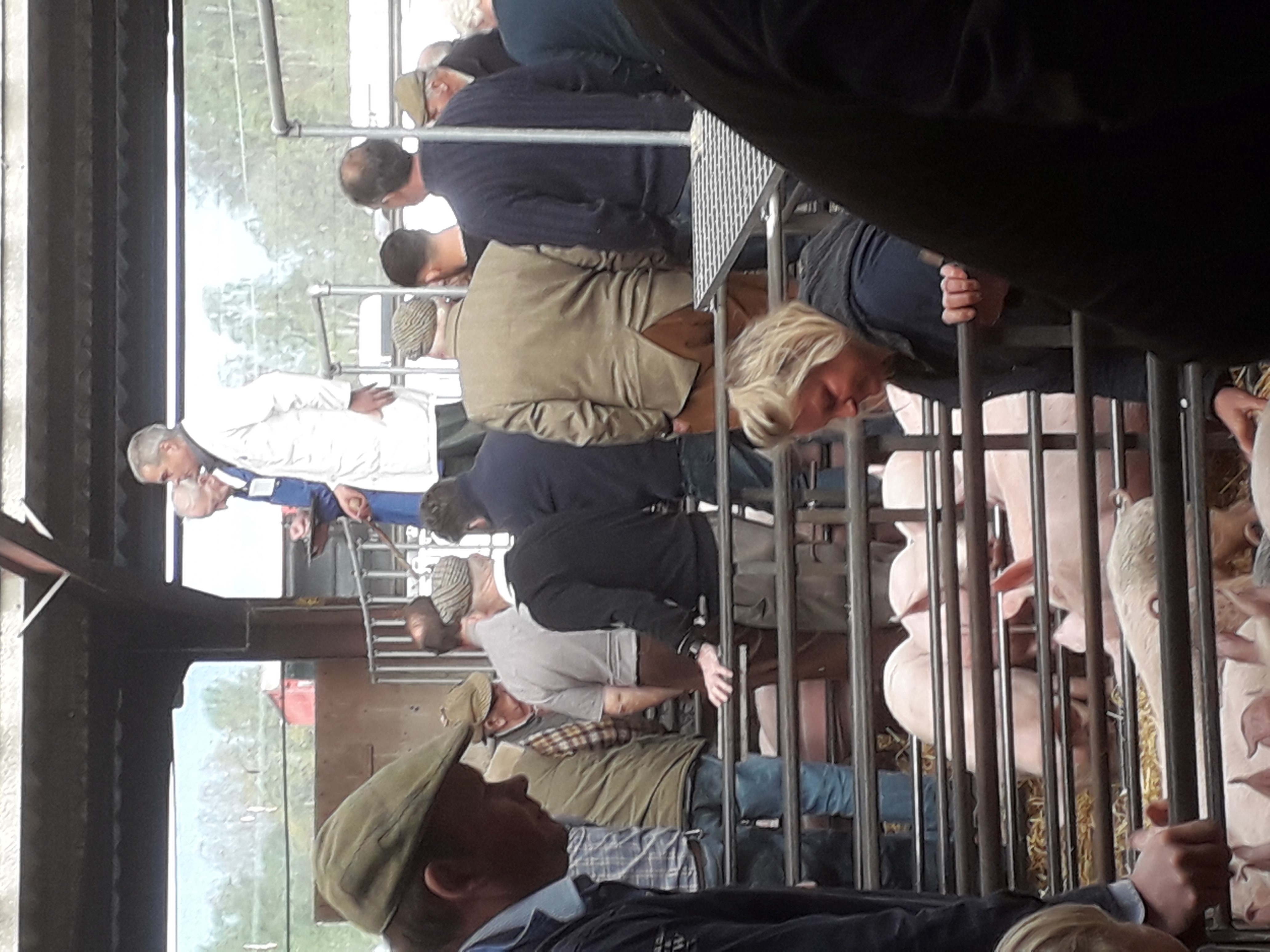 Right Way Up Selby Livestock Auction Mart right-way-up-selby-livestock-auction-mart